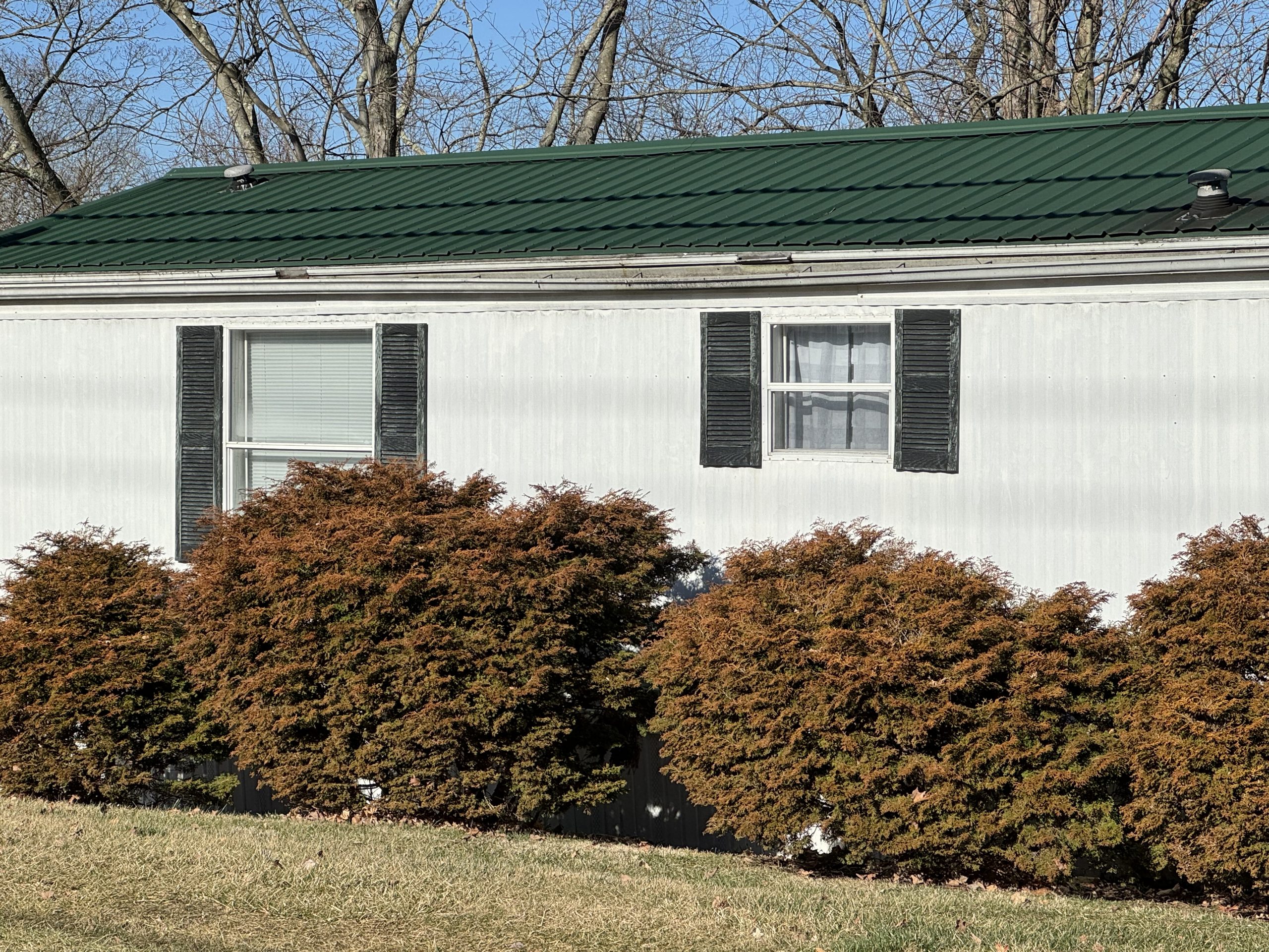 Current Auctions – Ed and Ben Schafer Auctioneers
